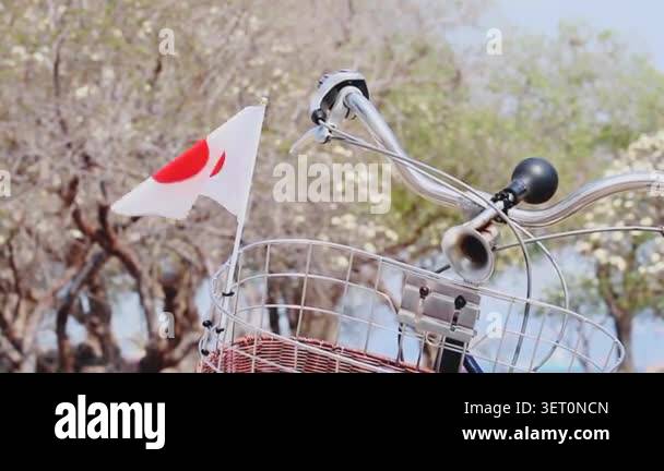Eco friendly transportation and cultural identity combine in this ...