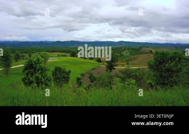 Green hill tree grass cloudy sky landscape nature outdoor countryside ...
