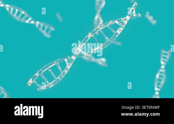 DNA glass helix structure broke analysis gens bg able to loop endless ...
