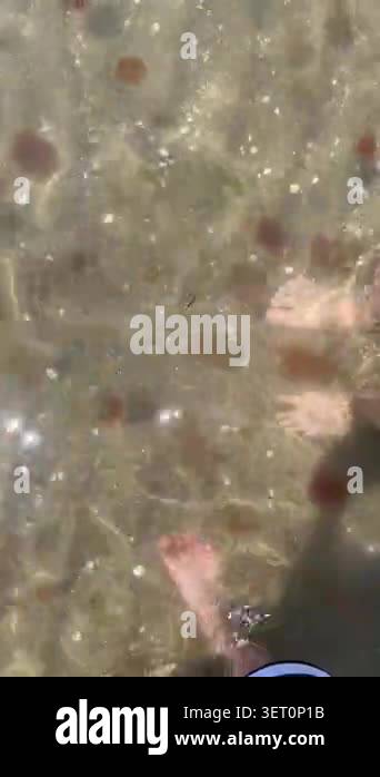 Vertical 4K close up view of people's feet standing and wading in the ...
