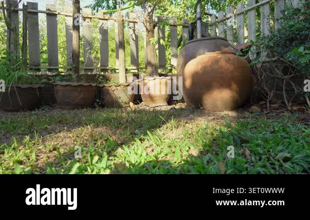 Rustic clay water jars in peaceful green tropical backyard garden ...