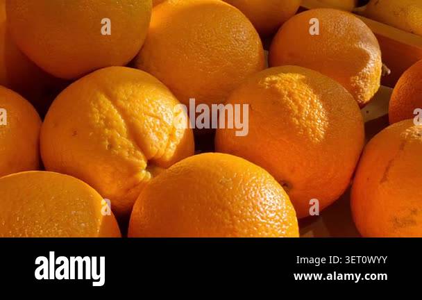 macro video of bright, juicy oranges lying on the counter with sunlight ...