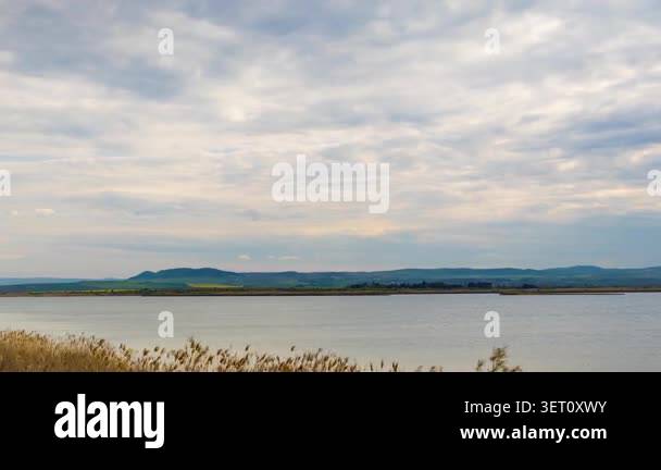 A light wind shakes dry reeds and makes ripples on a small bay of a ...