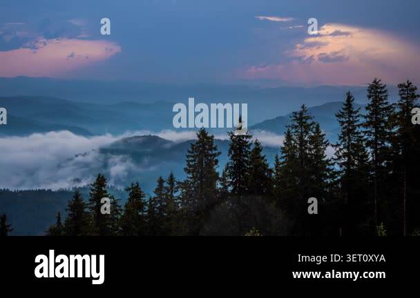 Cloudy weather over low hills covered with spruce evergreen forests in ...