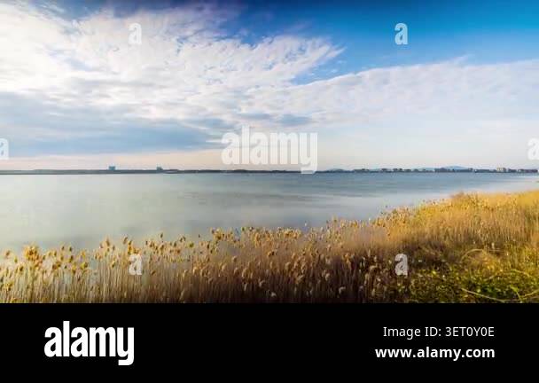 A light wind shakes dry reeds and makes ripples on a small bay of a ...