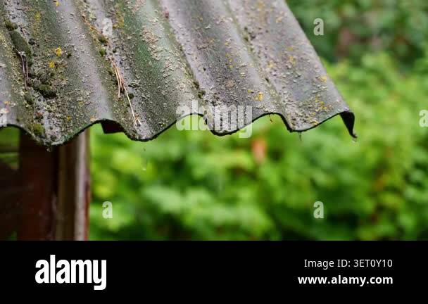 Concept of rainwater harvesting, water conservation, sustainable ...