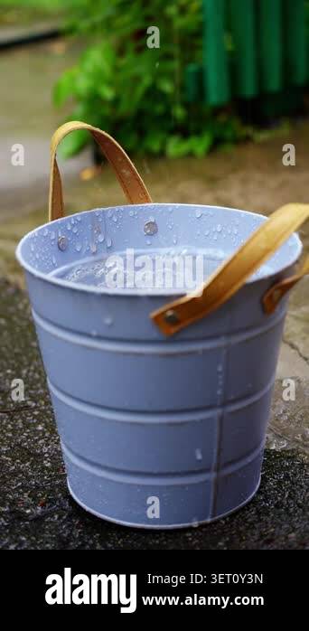 Rainwater Harvesting System Collecting Roof Runoff into Bucket for ...