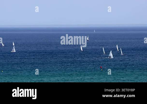 A fleet of sailboats races across the deep blue ocean under a clear sky ...
