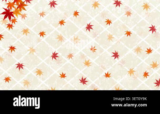 Japanese autumn leaves with lattice pattern 4K Stock Video Footage - Alamy