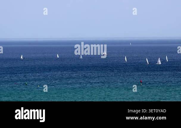 A wide shot of multiple sailboats gliding across the deep blue ocean ...