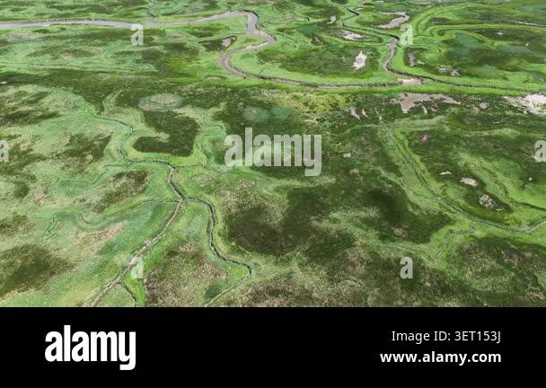 High altitude aerial view of a meandering river and tidal creeks ...