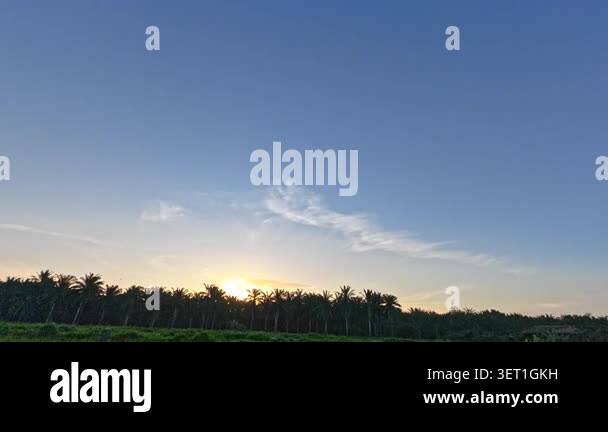 landscape scene of the wild bushes environmental vegetation at the ...