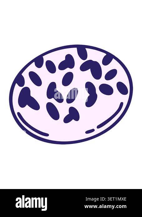 Vertical video showing a simple animated graphic of a speckled egg with ...