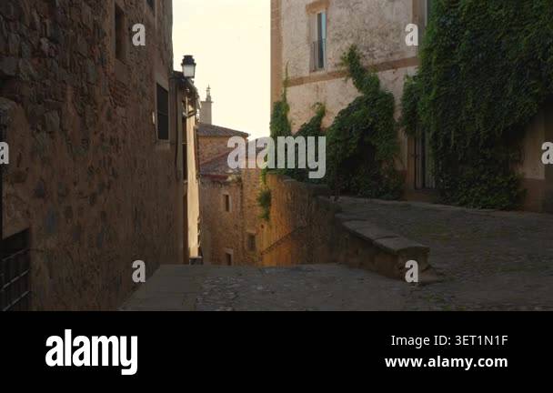 Historic cobblestone alley lined with ivy covered stone houses in ...
