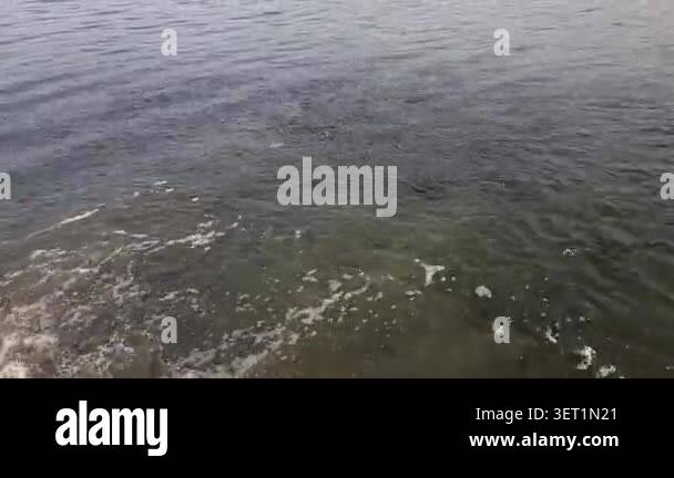 A school of fish gathers at the surface as a small waterfall pours into ...