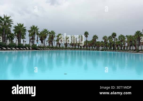 Large resort pool with palm trees, calm tropical vacation landscape ...