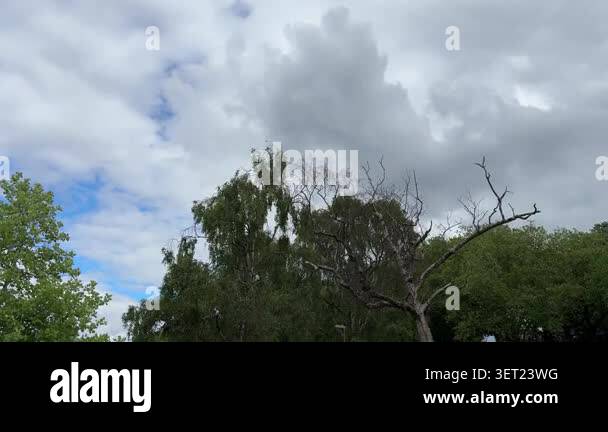 View of Forest Recreation Ground in Nottingham, England. Public urban ...