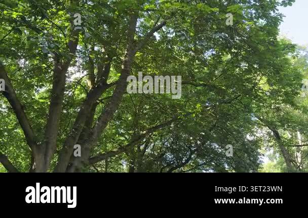 View of Forest Recreation Ground in Nottingham, England. Public urban ...