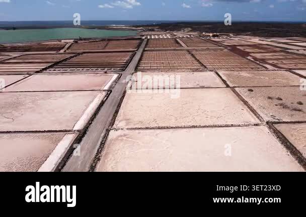 Explore the unique salt pans of Lanzarote. Observe the layout and ...