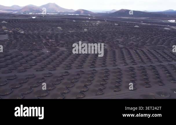 Explore the stunning aerial view of Geria vineyard in Lanzarote ...