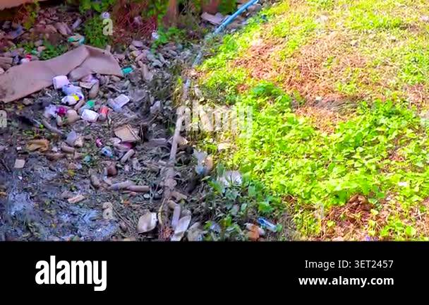 Tropical canal and river water drainage system surrounded by lush ...