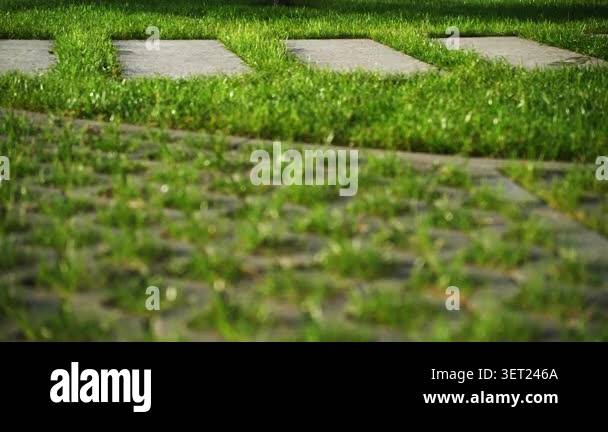 Rack focus shot showing two different types of garden paths made of ...