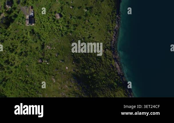 Drone footage of pristine Lofoten landscape showing dense green forest ...
