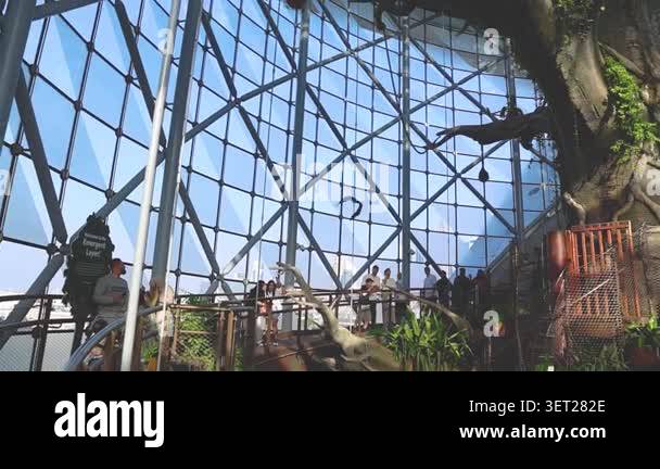 11 January 2026, Dubai Green Planet, UAE: Immersive view of a bat or ...