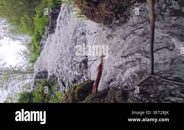 View into autumn waterfall on basalt rock, colorful leaves, boulders ...
