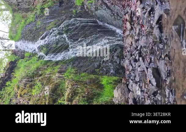 View into autumn waterfall on basalt rock, colorful leaves, boulders ...