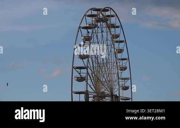 A large, white ferris wheel stands against a blue sky with a bird ...