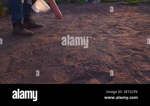 A person is scattering grass seeds from a bucket onto the ground to ...