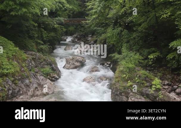 Fast flowing river cascades over rocks in lush green forest with a ...