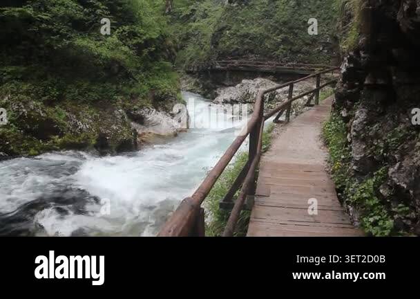 Wooden walkway along a rushing river flowing through a lush green gorge ...