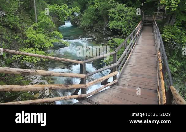 Wooden bridge over a rushing river in a lush green forest, scenic ...