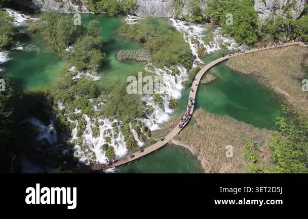 Aerial view of people walking on a wooden boardwalk through lush green ...