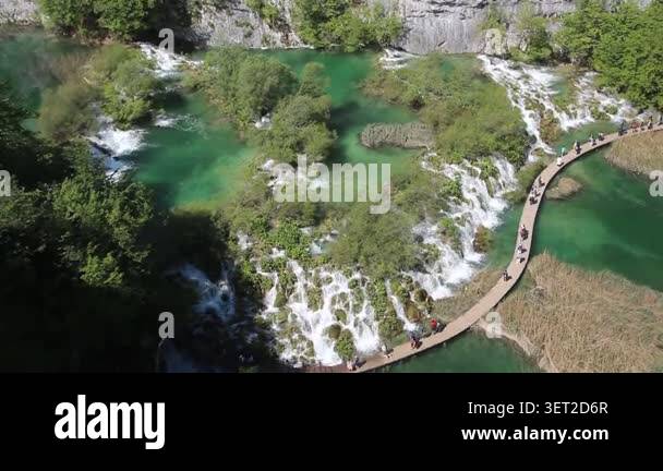 Aerial view of a wooden walkway winding through lush green trees and ...