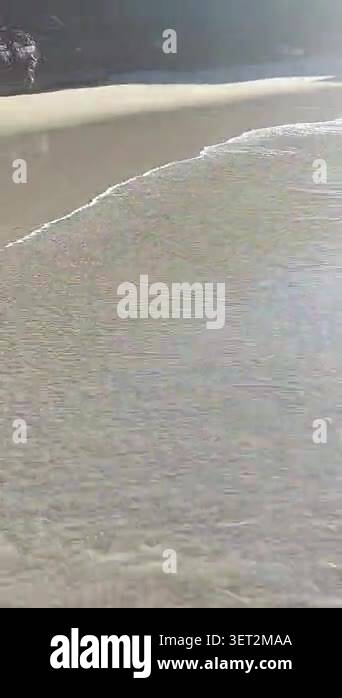 High quality vertical video of a clean sandy beach texture with soft ...