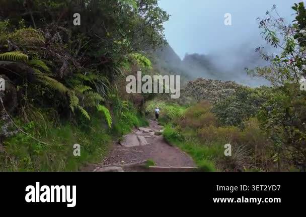 Scenic footage landscape of the path of La Nouvelle Trekking, Reunion ...