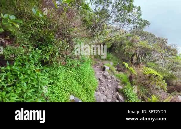 Scenic footage landscape of the path of La Nouvelle Trekking, Reunion ...