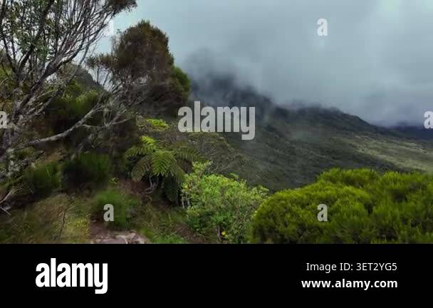 Scenic footage landscape of the path of La Nouvelle Trekking, Reunion ...