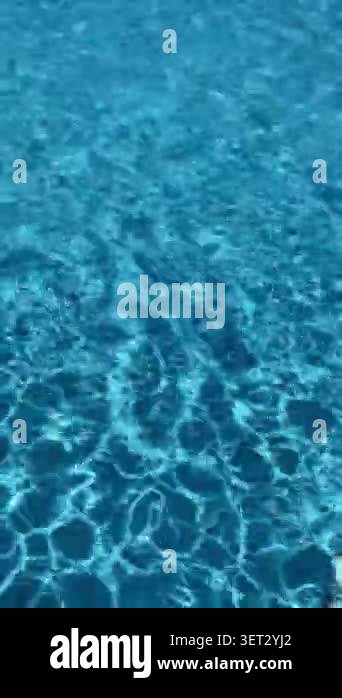 Sparkling blue swimming pool at a sunny summer resort with palm trees ...