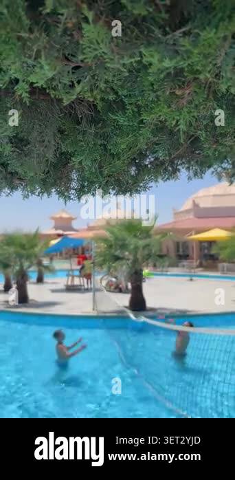 People playing with a ball in a resort swimming pool under conifer ...
