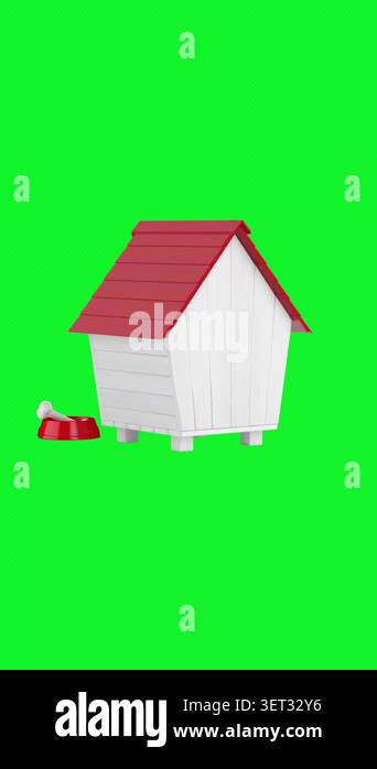 4k Resolution Vertical Video for Social Media: Pet Care Concept. White ...