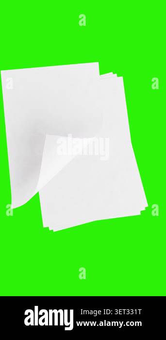 4k Resolution Vertical Video for Social Media: Document Workflow, Blank ...