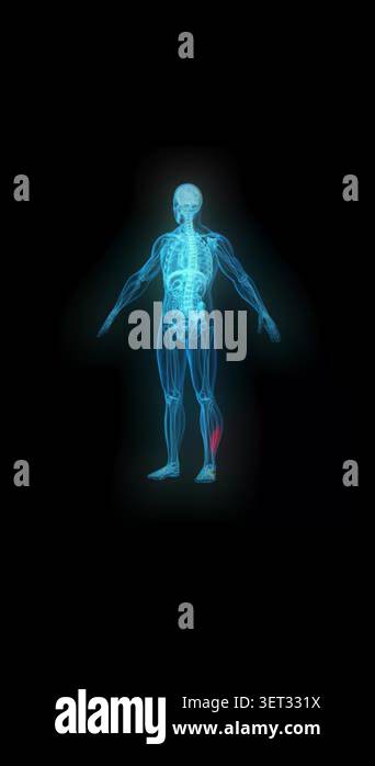 4k Resolution Vertical Video for Social Media: Medical Diagnosis And ...