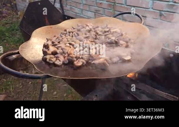 Fresh mushrooms frying on a large cast iron saj pan over open fire ...