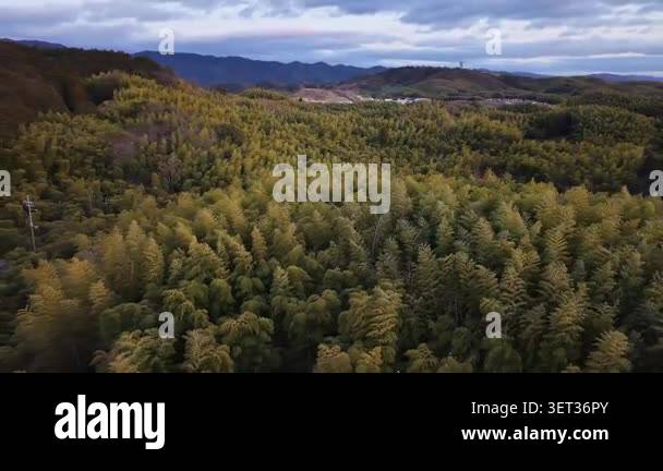 An aerial panorama of the ancient city of Kyoto and its forested temple ...