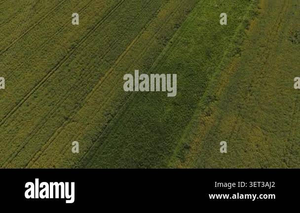 An aerial view of green rolling fields, meadows and forested hills of ...