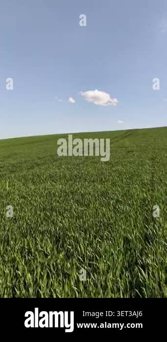 An aerial view of green rolling fields, meadows and forested hills of ...